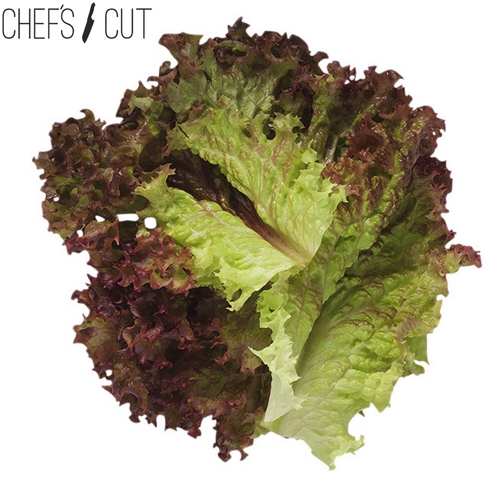 Lollo Rosso hela blad