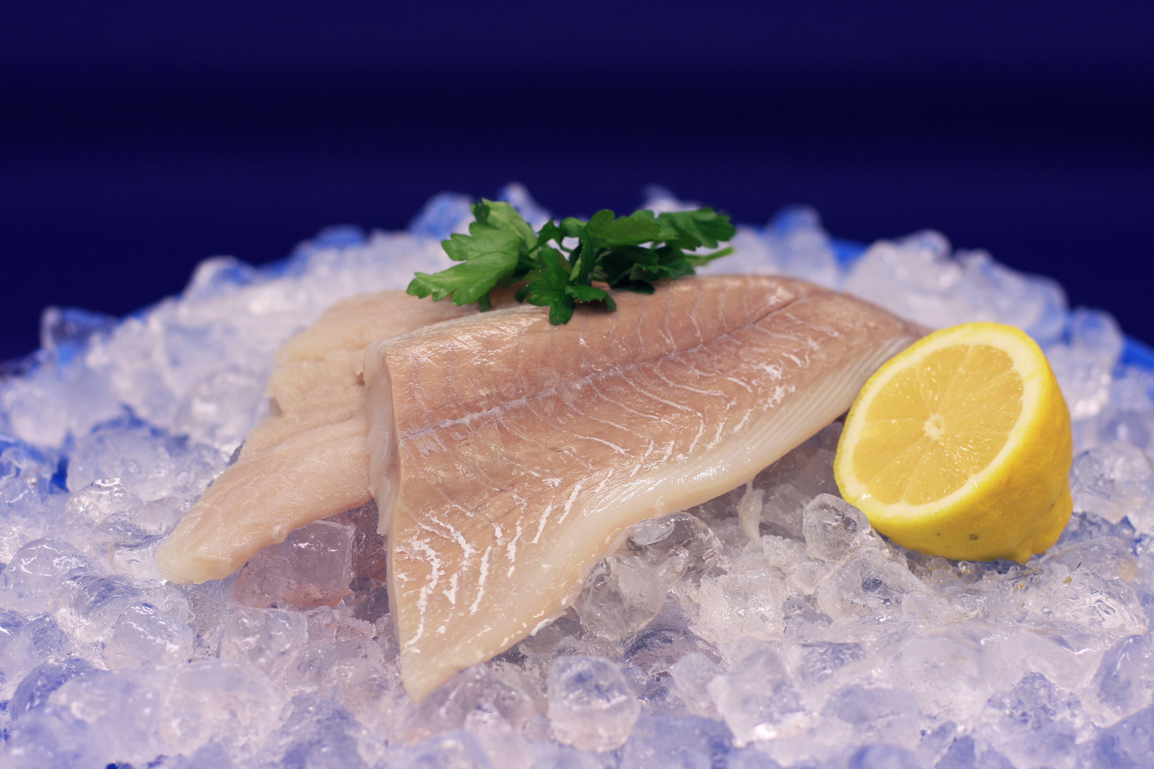 Sejfilé Feldts BLUE MSC tails - FELDTS - Dabas