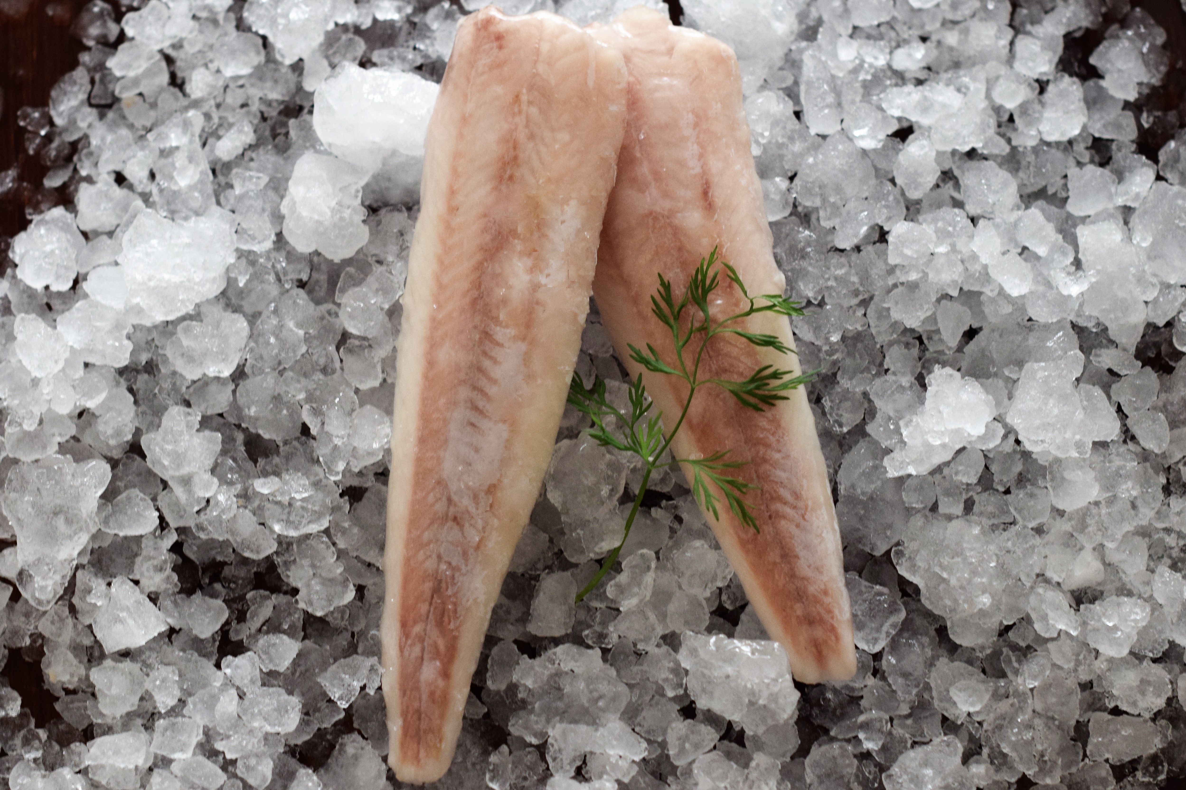 Alaska kummelfilé 120/160