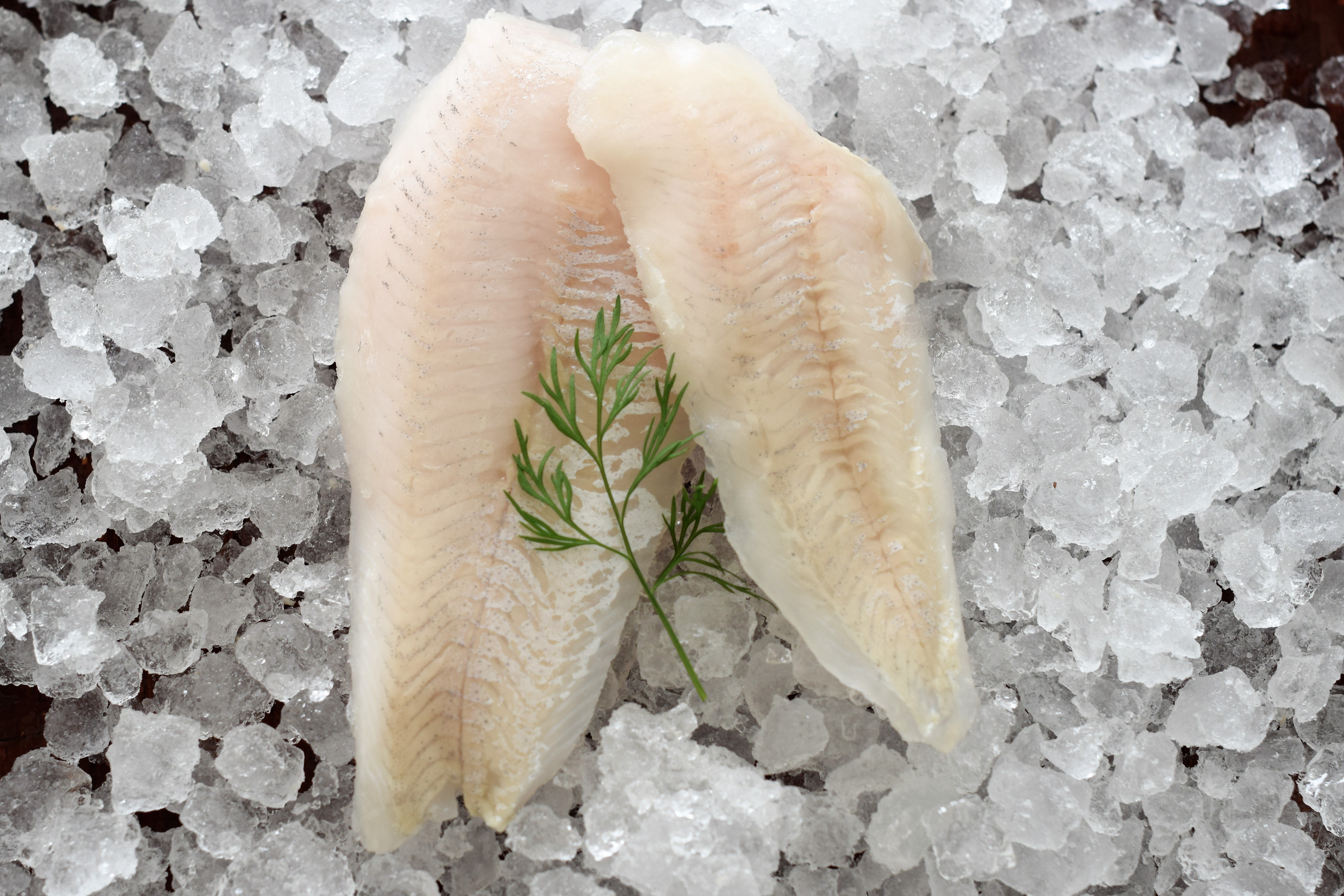 Kapkummelfilé 60/90